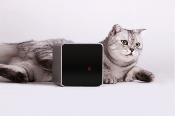 ARISTIDE Le blog du félin urbain » petcube-chat-laser-slider